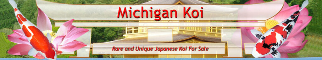 Information on Koi College Health - Michigan Koi