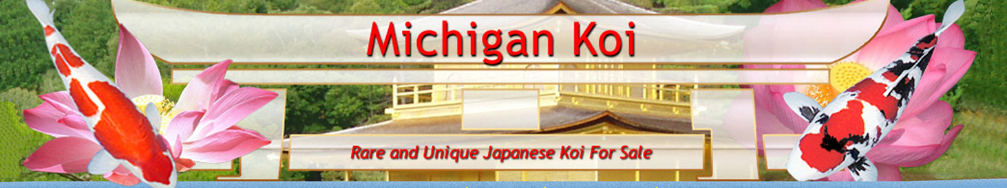 Information on Koi College Health - Michigan Koi
