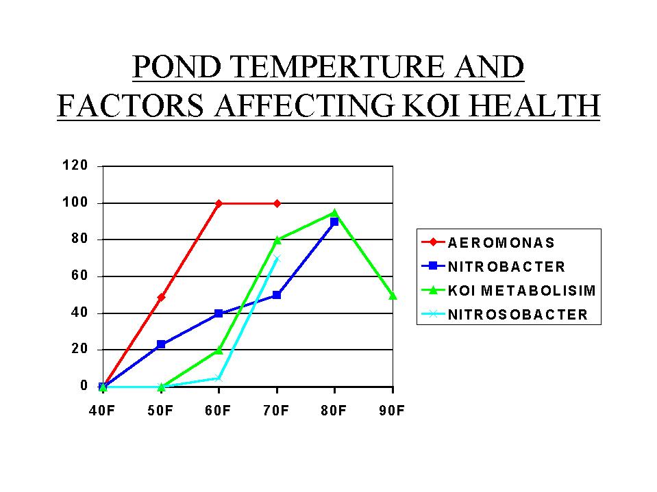 Information on Koi College Health - Michigan Koi
